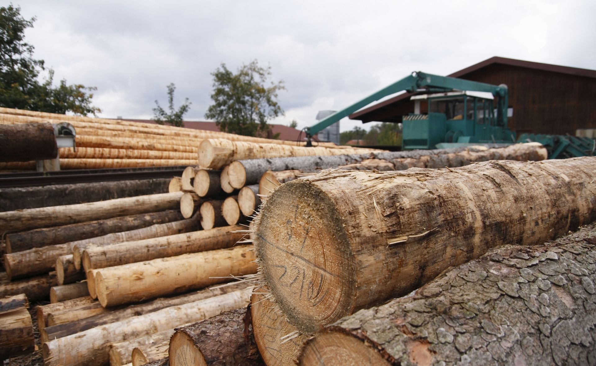 Scierie en Franche-Comté| Bois de Qualité depuis 1920